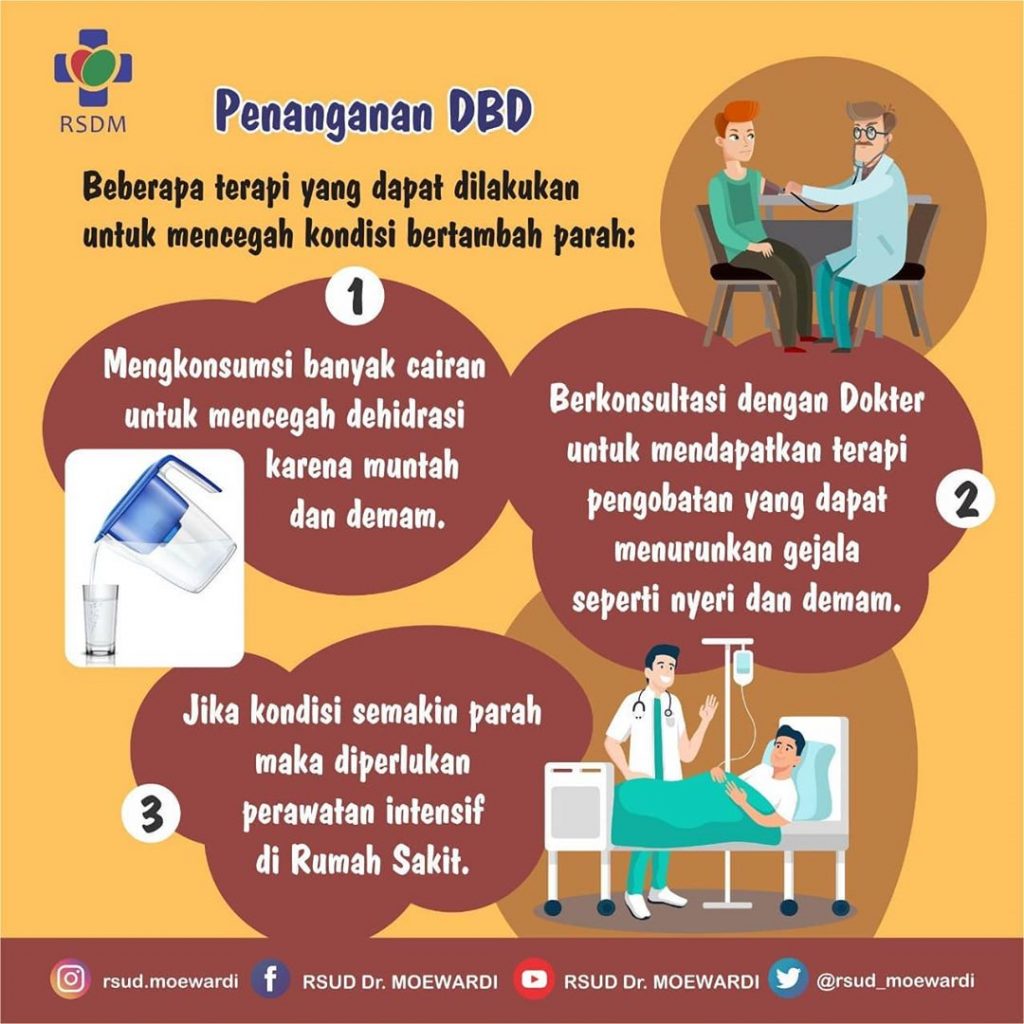 Waspada Terhadap Ancaman DBD Official Web RSUD Dr Moewardi